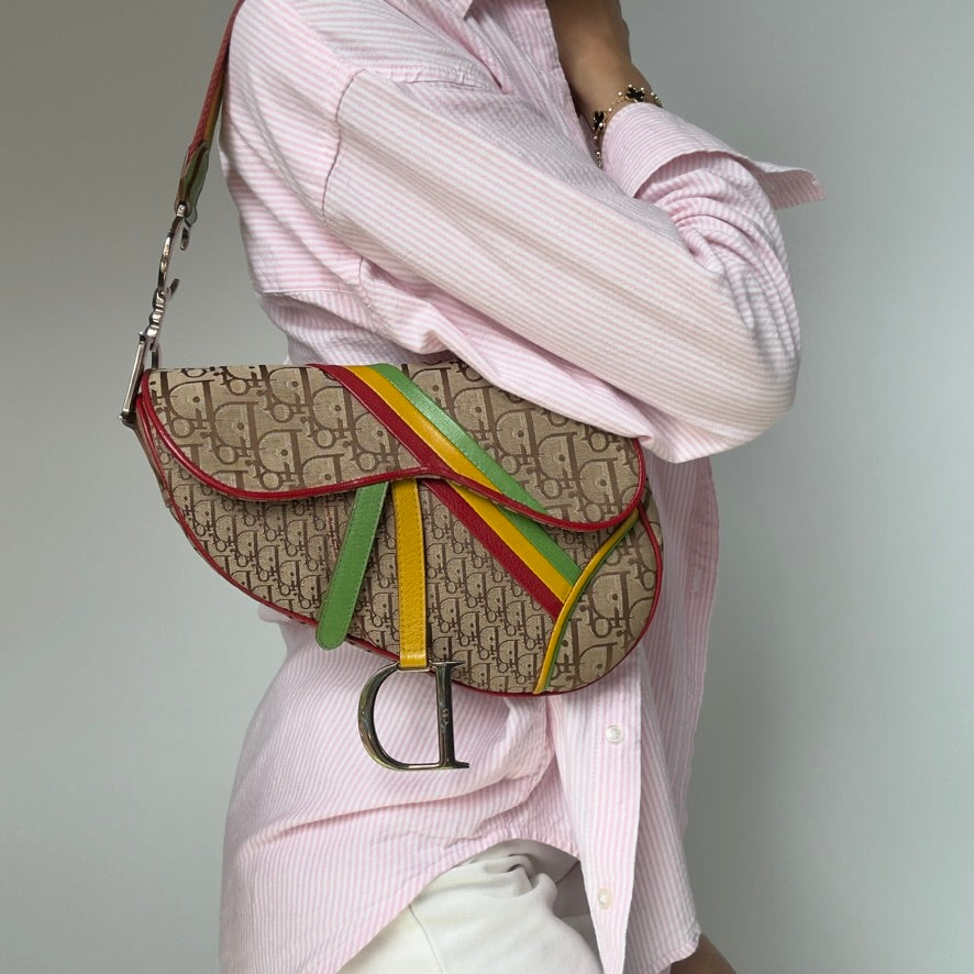 Dior Diorissimo Rasta Saddle Bag | QUEEN MAY